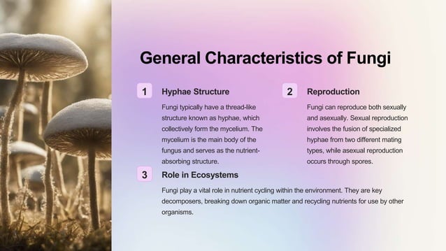 introduction to fungi. general characters of fungi. life cycle of ...