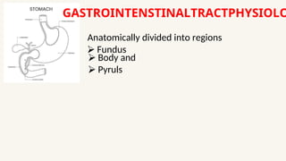 Introduction-to-Gastroretentive-Drug-Delivery-Systems.pptx