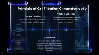bio- chemistry Introduction-to-Gel-Filtration-Chromatography (1).pptx
