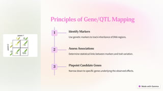 Introduction-to-Gene-mapping-and-QTL-Mapping.pdf