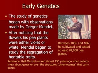 Introduction-to-Genetics.ppt