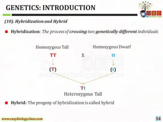 Introduction-to-Genetics,powerpoint p.pptx