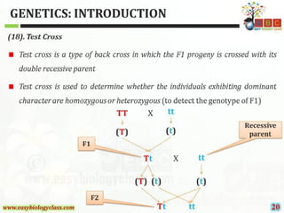 Introduction-to-Genetics,powerpoint p.pptx
