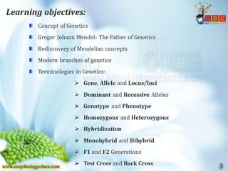 Introduction-to-Genetics,powerpoint p.pptx