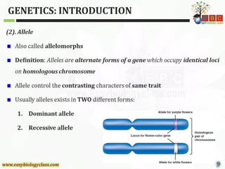 Introduction-to-Genetics,powerpoint p.pptx