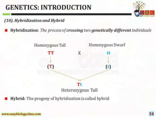 Introduction to-genetics-ppt-by-easybiologyclass | PPTX