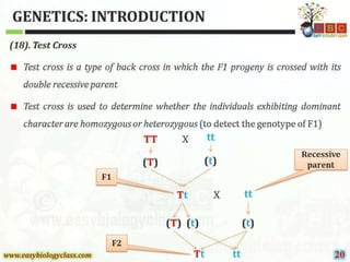 Introduction to-genetics-ppt-by-easybiologyclass | PPTX