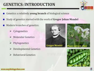 Introduction to-genetics-ppt-by-easybiologyclass | PPTX