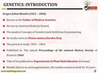 Introduction to-genetics-ppt-by-easybiologyclass | PPTX