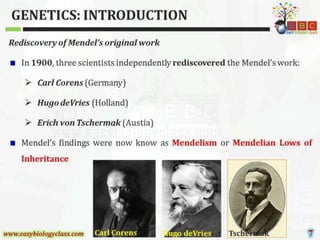 Introduction to-genetics-ppt-by-easybiologyclass | PPTX