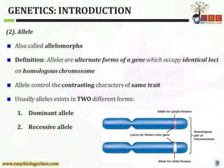 Introduction to-genetics-ppt-by-easybiologyclass | PPTX