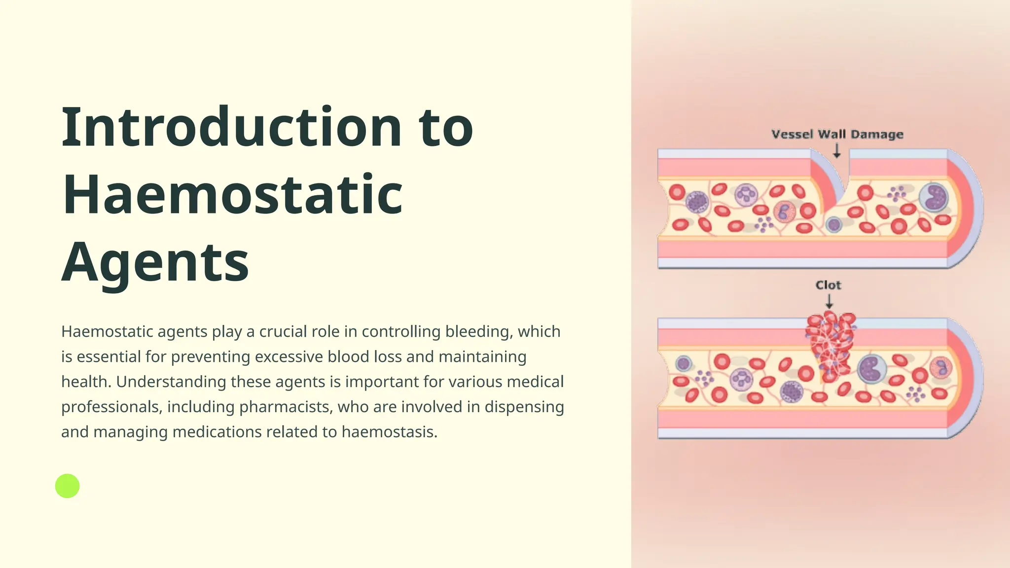 Introduction-to-Haemostatic-Agents.pptx B.Pharmacy | PPTX