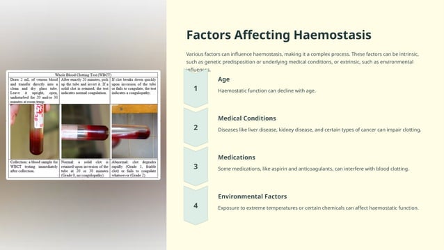 Introduction-to-Haemostatic-Agents.pptx B.Pharmacy | PPT