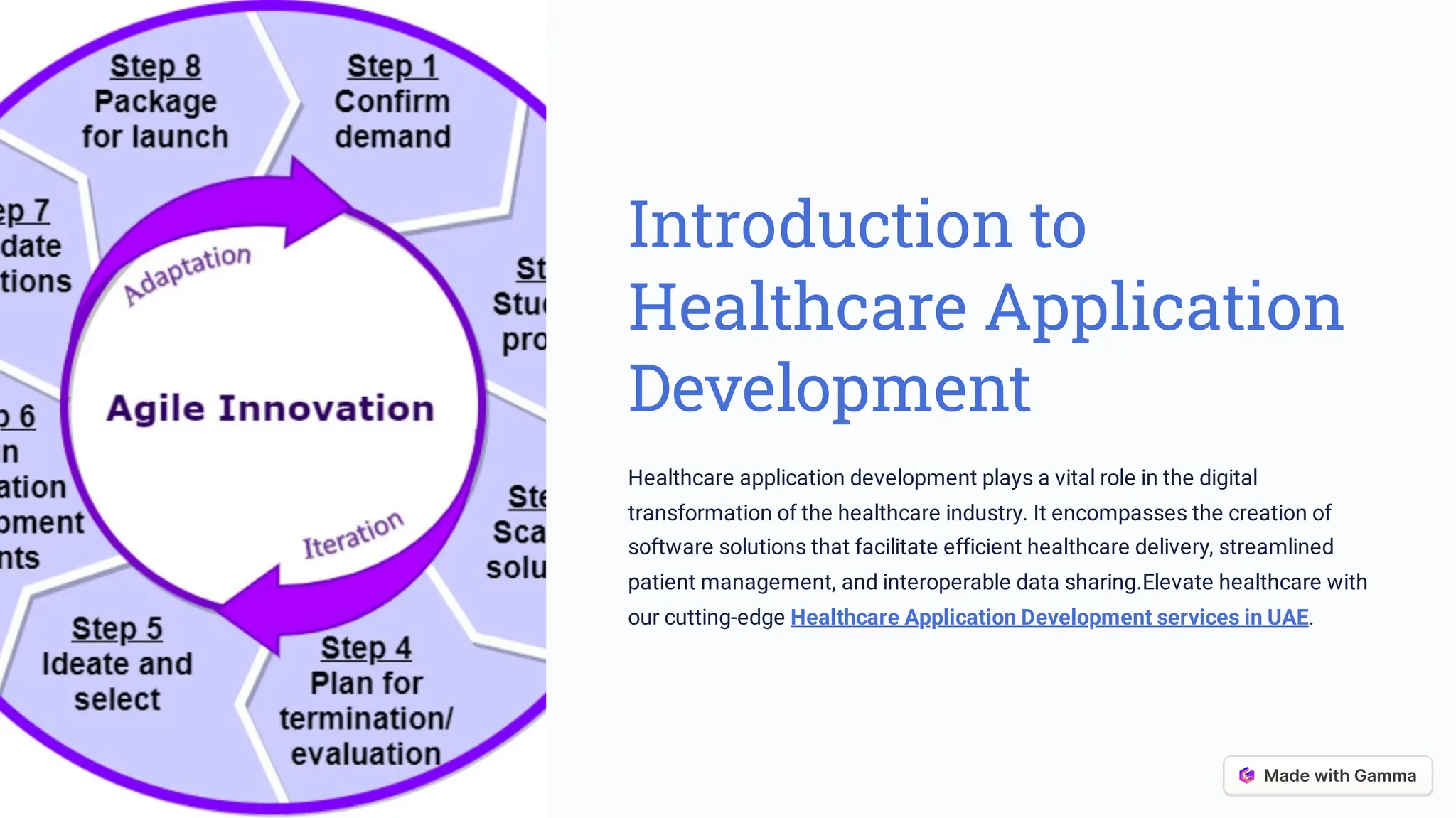 Introduction-to-Healthcare-Application-Development.pdf