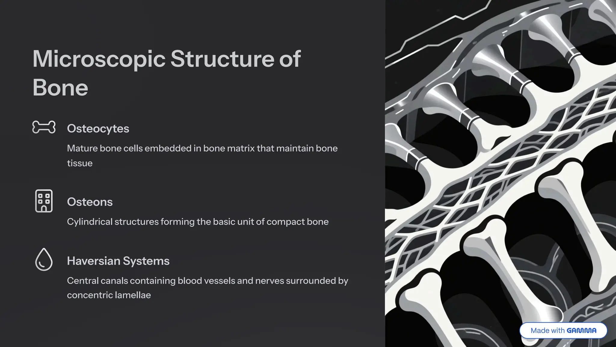 Introduction-to-Human-Anatomy-The-Skeletal-System.pdf