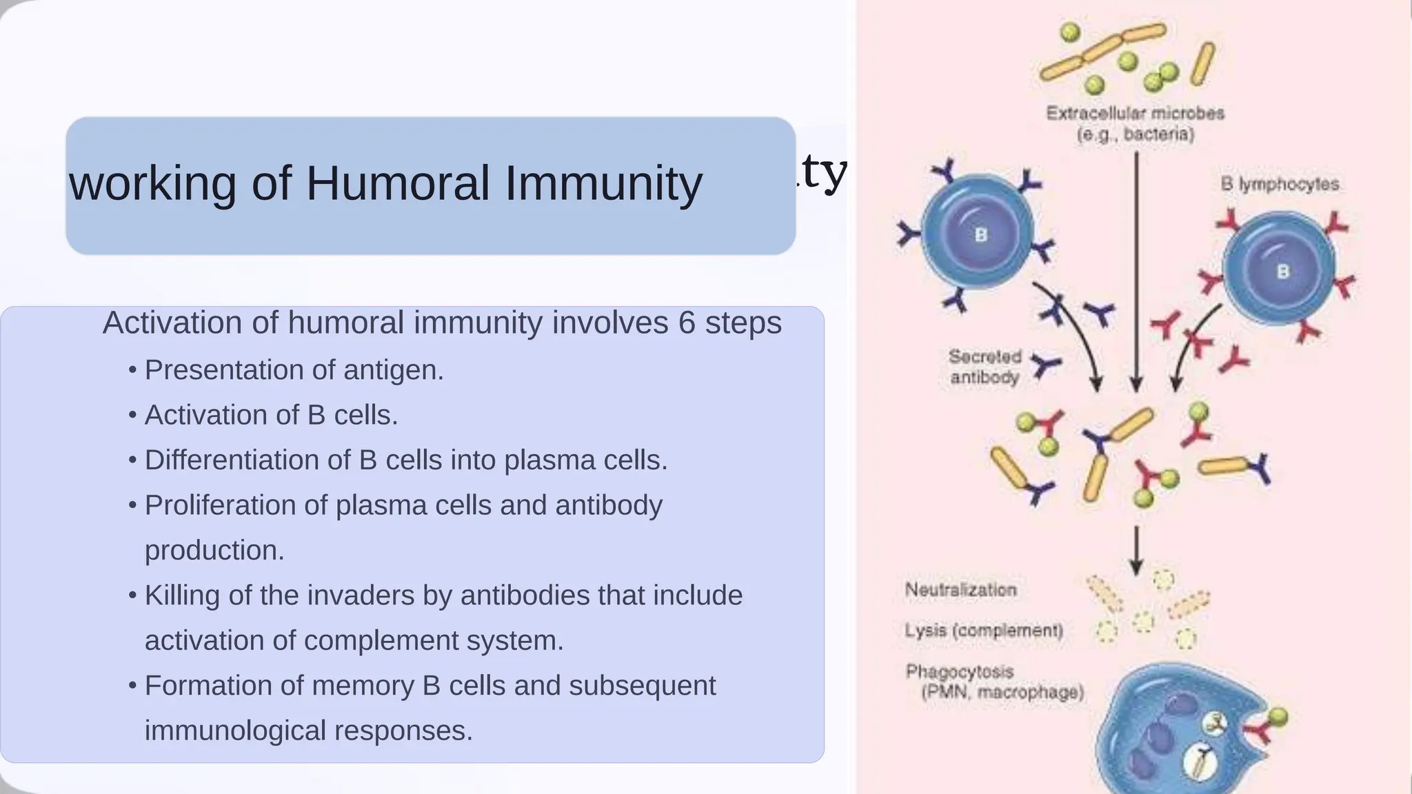 Introduction-to-Humoral-Immunity final.pptx_20240214_015743_0000.pptx