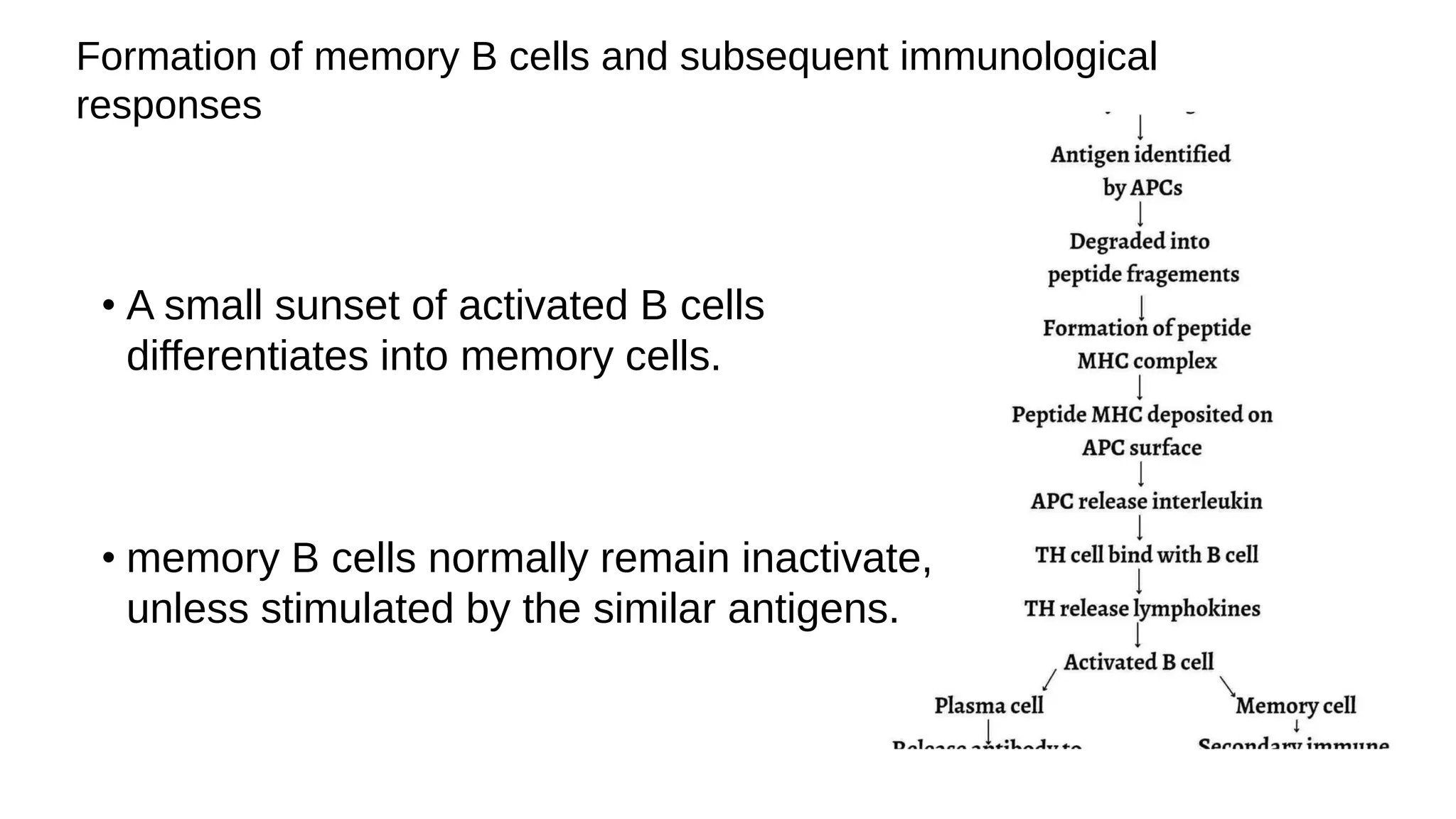 Introduction-to-Humoral-Immunity final.pptx_20240214_015743_0000.pptx