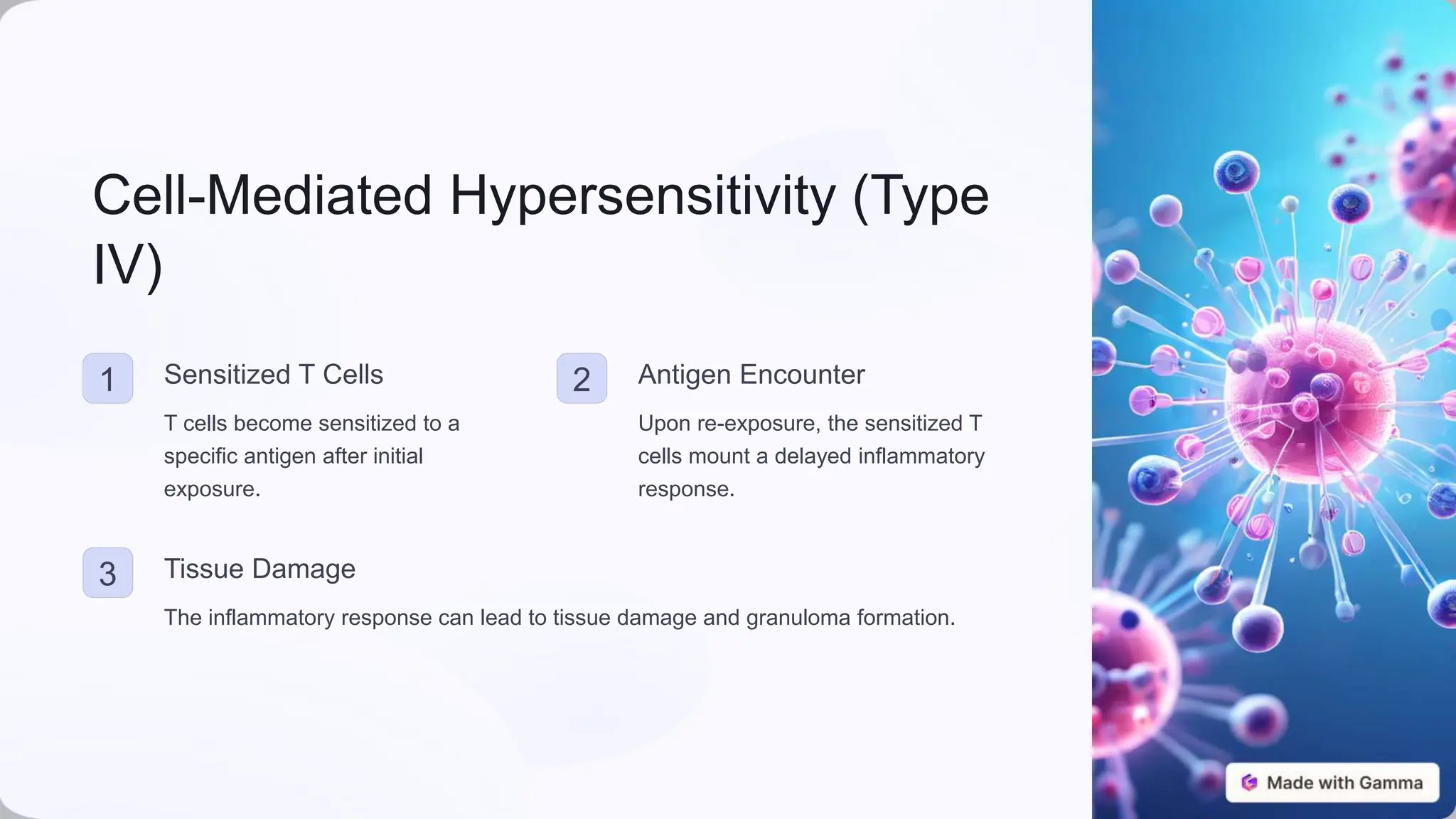 Introduction to Hypersensitivity types of hypersensitivity mechanisms ...