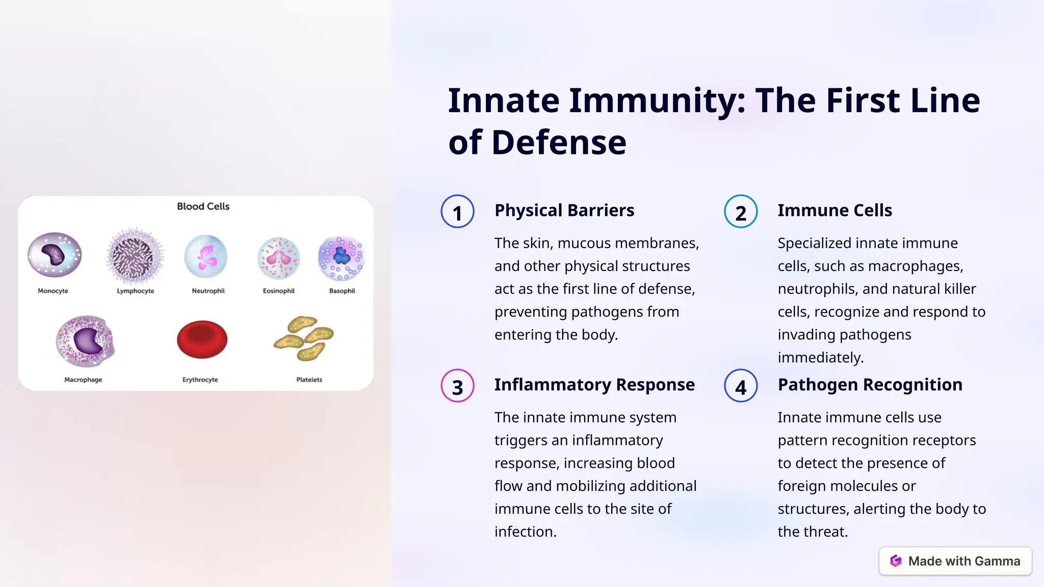 Introduction-to-Immunity-and-Infectious-Diseases.pptx