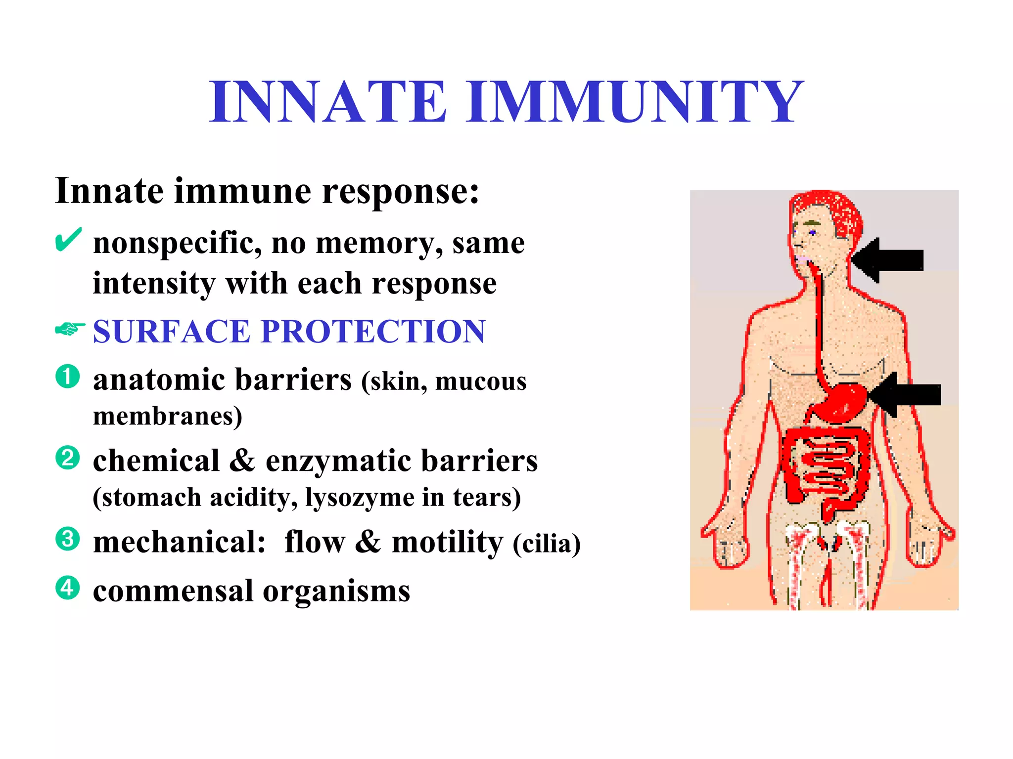 Introduction to Immunity Antibody Function & Diversity 2006 L1&2 ...