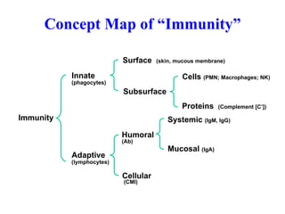 Immunity Concept Map