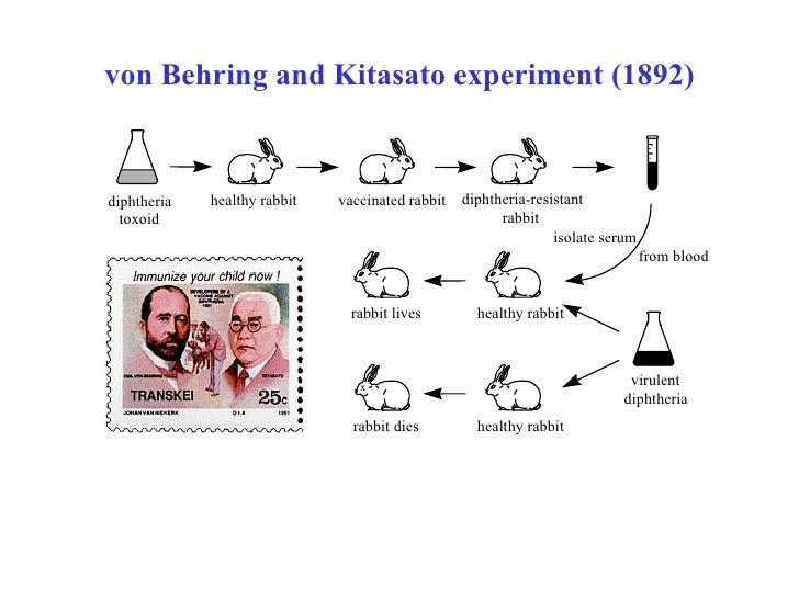 Introduction to Immunity Antibody Function & Diversity 2006 L1&2-over…