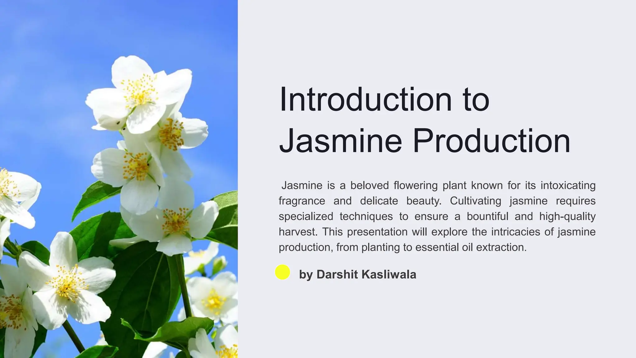 Introduction--to-Jasmine-Production.pptx