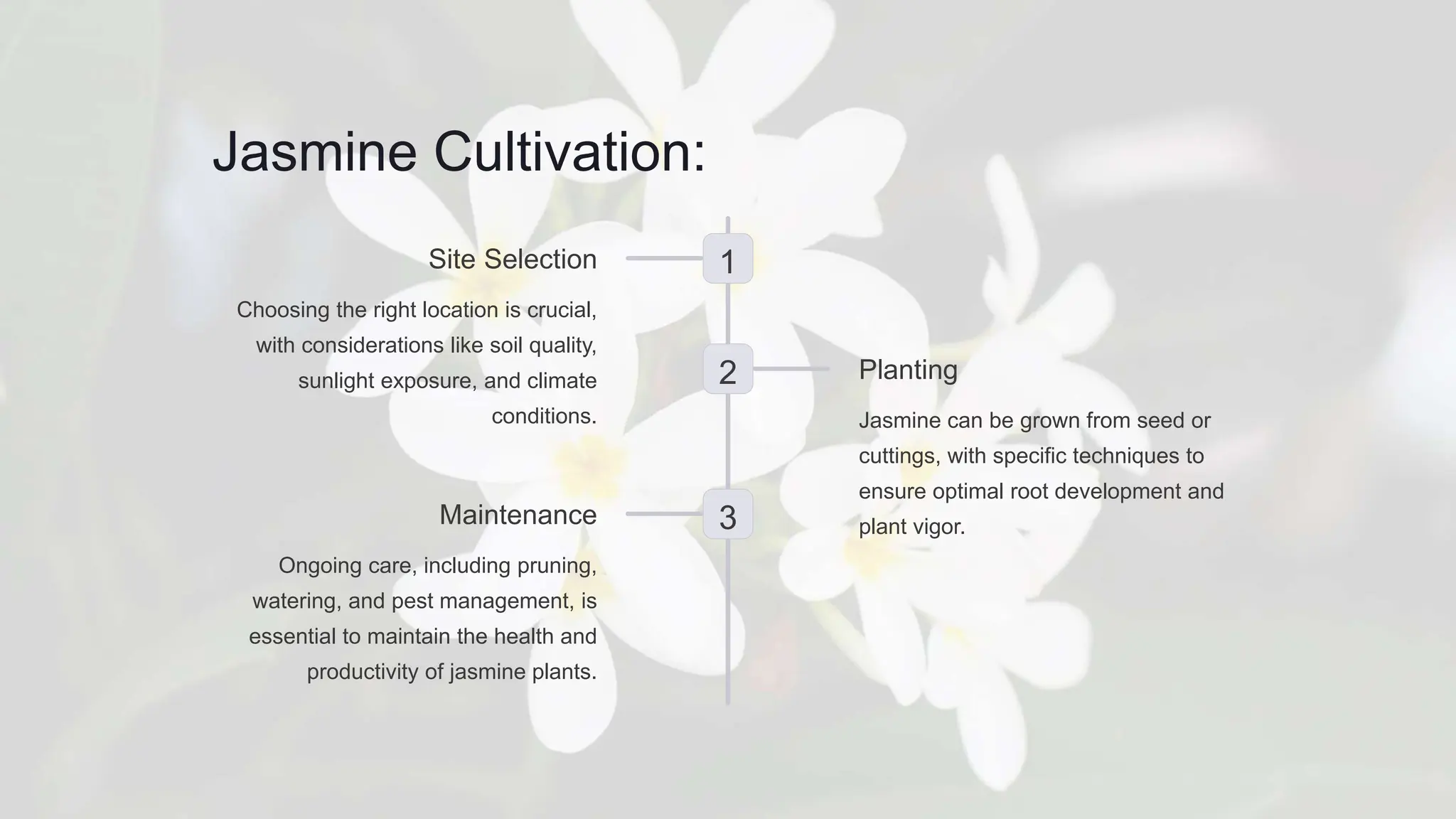 Introduction--to-Jasmine-Production.pptx