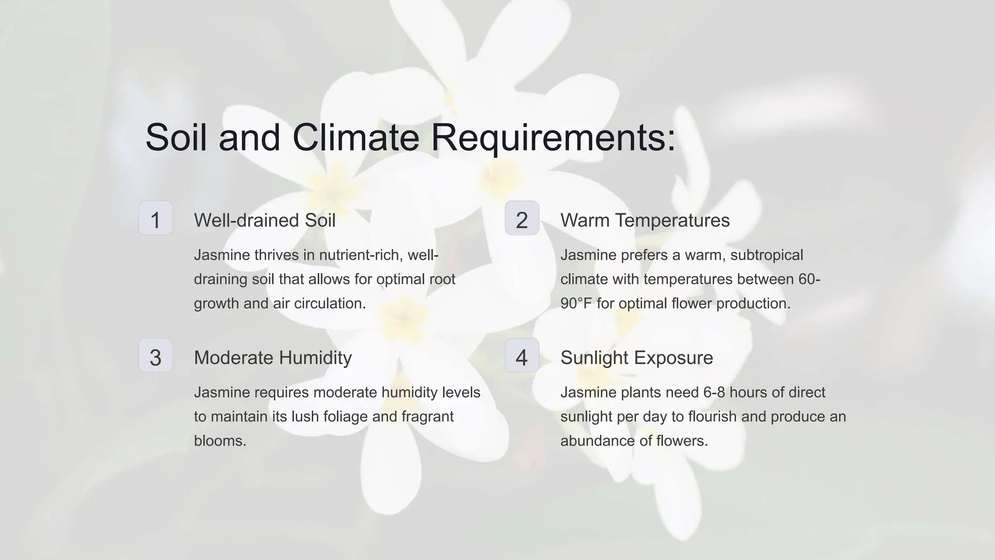 Introduction--to-Jasmine-Production.pptx