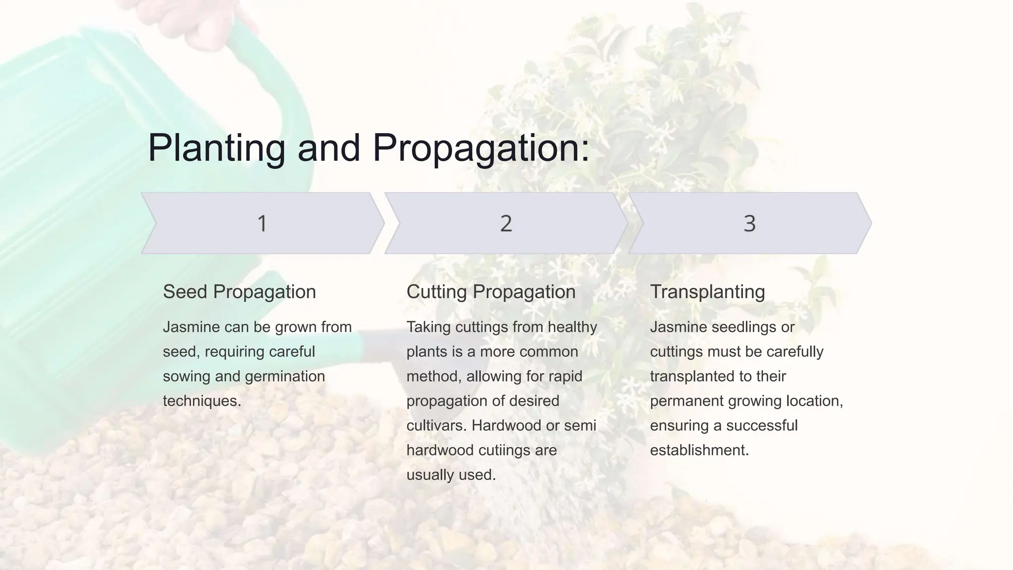 Introduction--to-Jasmine-Production.pptx