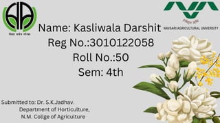 Introduction--to-Jasmine-Production.pptx