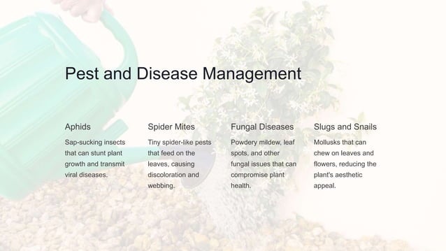 Introduction--to-Jasmine-Production.pptx