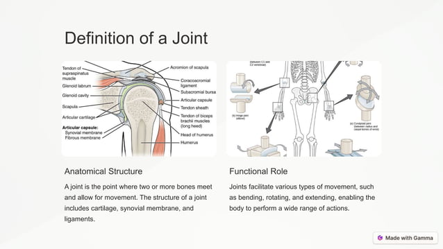 Classification Introduction-to-Joints.pptx