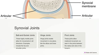 Classification Introduction-to-Joints.pptx