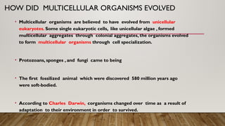 INTRODUCTION-TO-LIFE-SCIENCE.................pptx