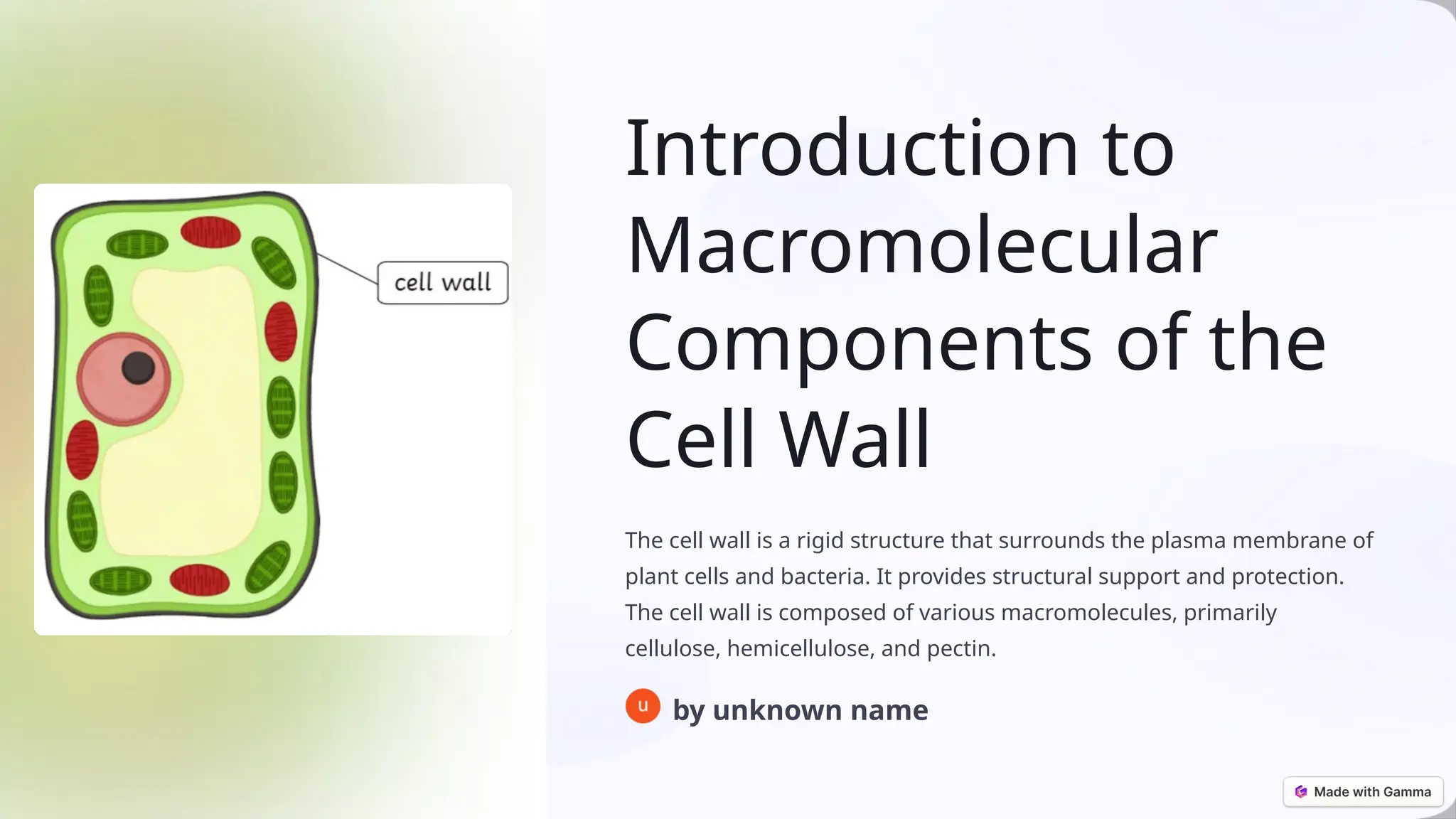 Introduction-to-Macromolecular-Components-of-the-Cell-Wall.pptx