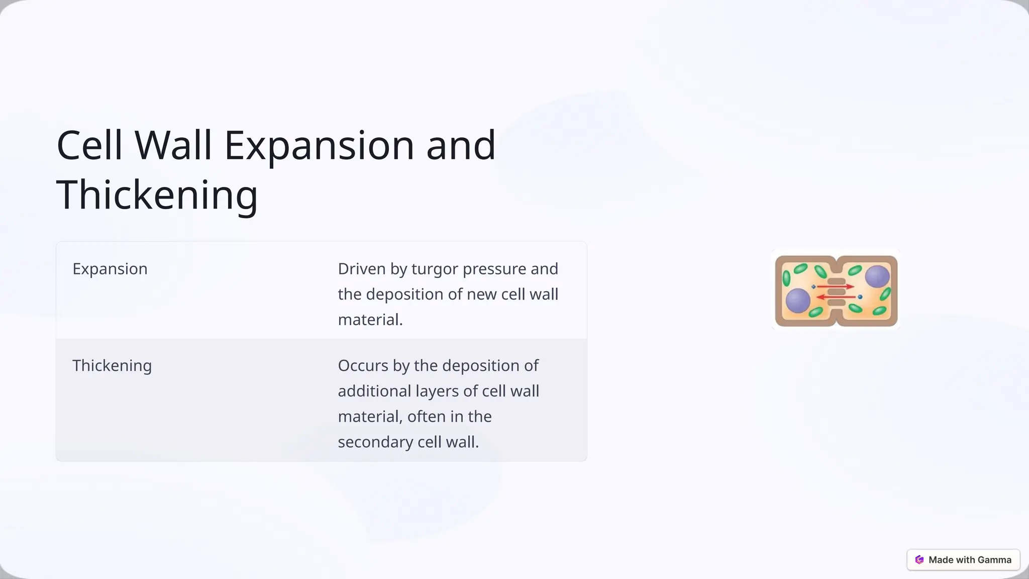 Introduction-to-Macromolecular-Components-of-the-Cell-Wall.pptx