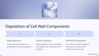 Introduction-to-Macromolecular-Components-of-the-Cell-Wall.pptx
