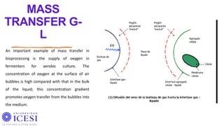 Introduction-to-Mass-Transfer in fermentation | PPTX | Chemistry | Science