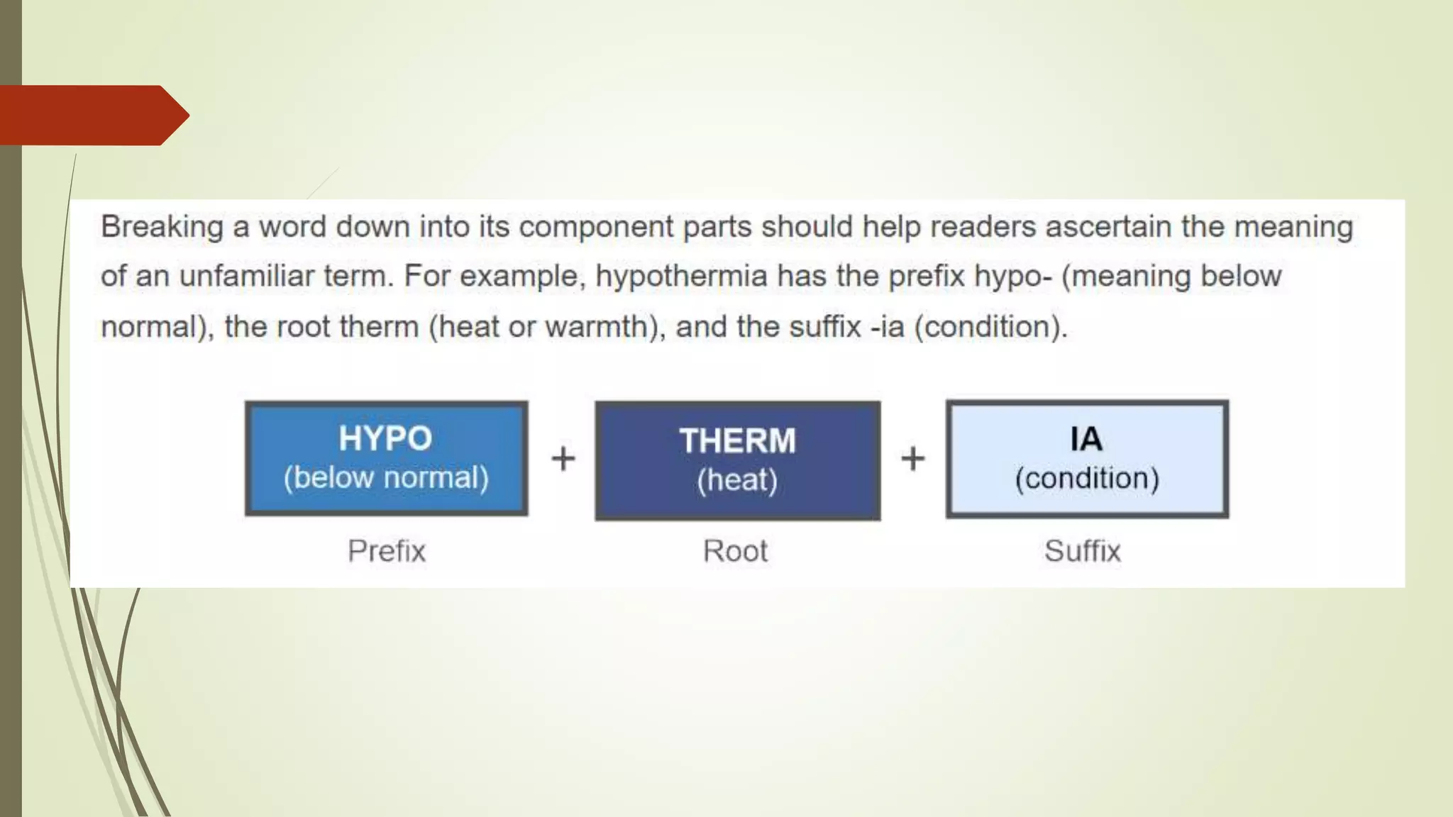 Introduction-to-Medical-Terminology.pptx