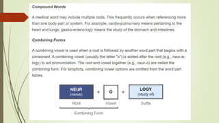 Introduction-to-Medical-Terminology.pptx