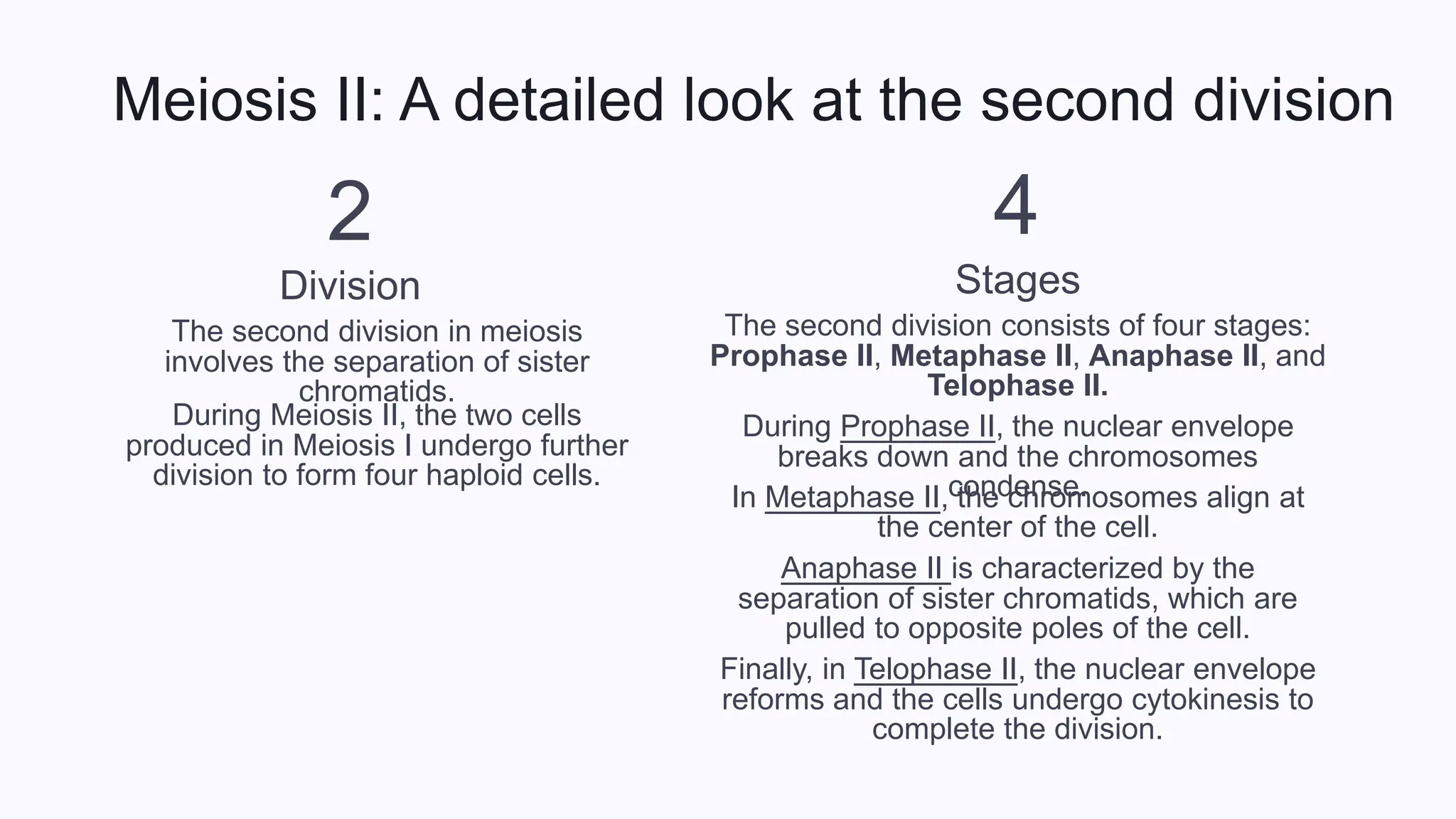 Introduction to Meiosis - PowerPoint Presentation | PPT
