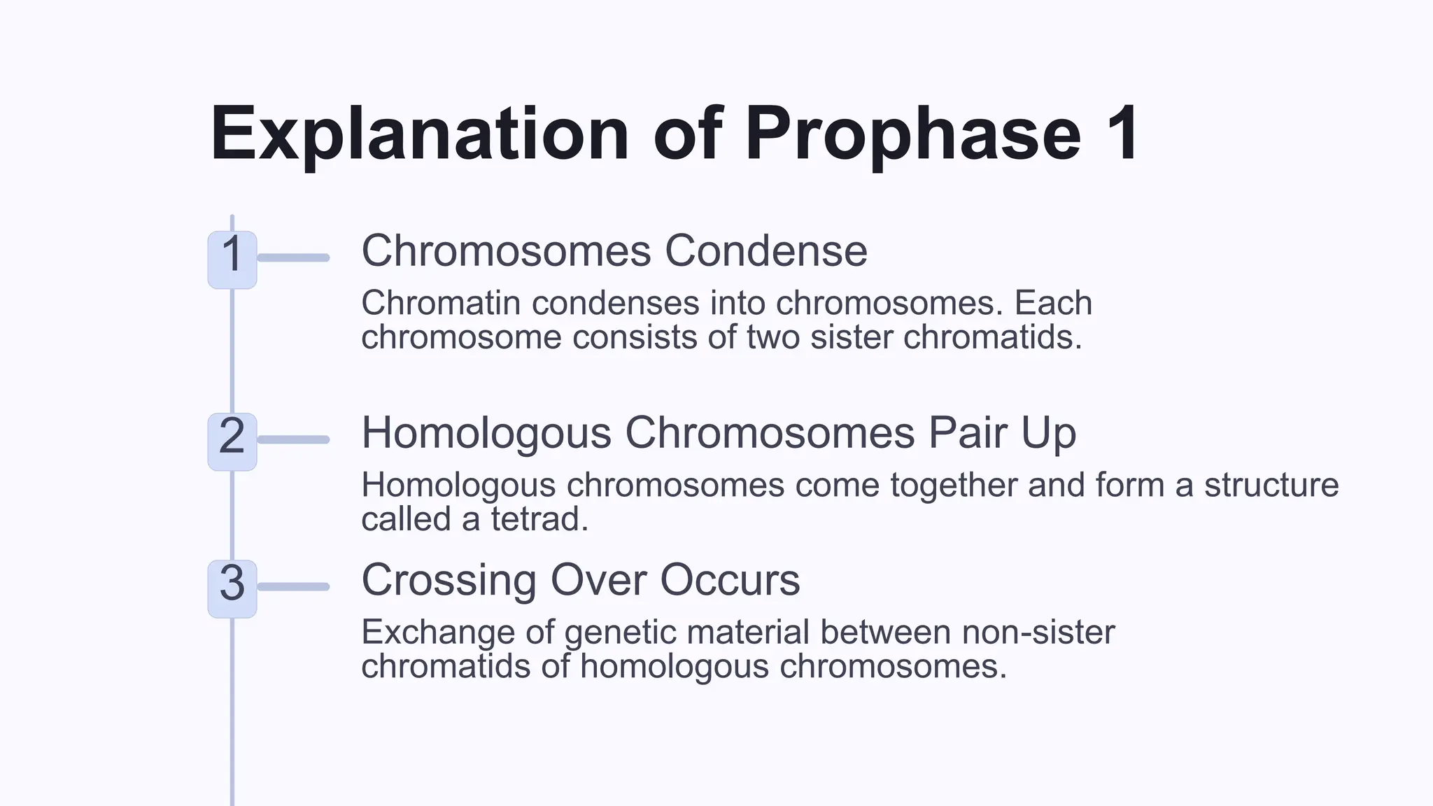 Introduction to Meiosis - PowerPoint Presentation | PPT