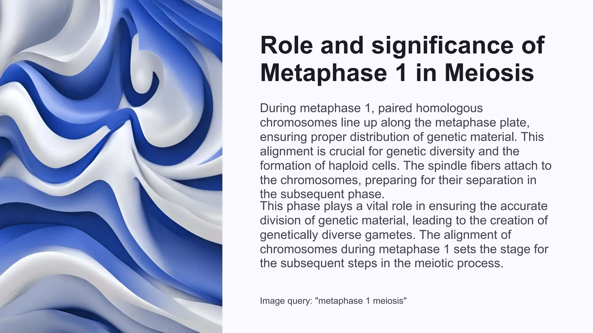 Introduction to Meiosis - PowerPoint Presentation | PPT