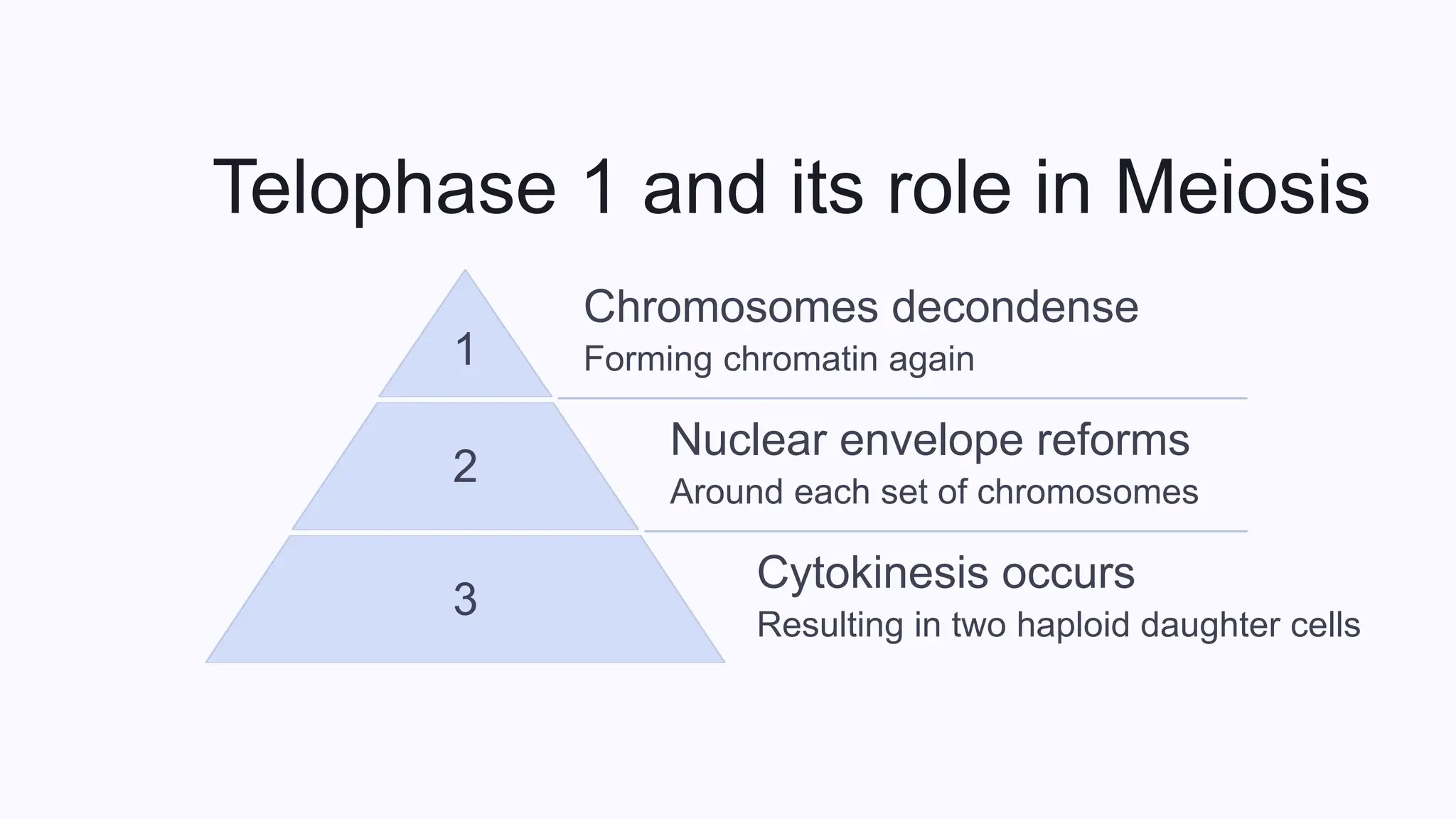 Introduction to Meiosis - PowerPoint Presentation | PPT