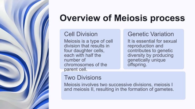 Introduction to Meiosis - PowerPoint Presentation | PPT