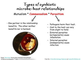 Introduction to-microbiology-lecture-power point-vmc (1) | PPT