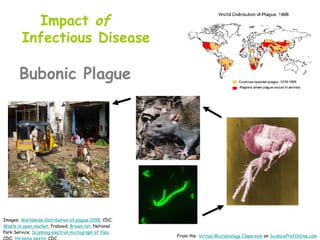 Introduction-to-Microbiology-Lecture-PowerPoint-VMCct.ppsx