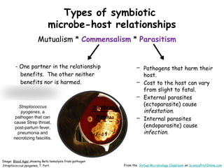 Introduction-to-Microbiology-Lecture-PowerPoint-VMCct.ppsx