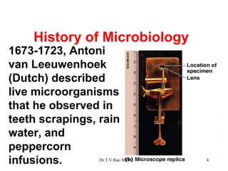 Introduction to Medical Microbiology basics | PPT